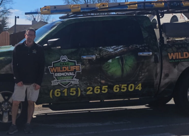 Wildlife Removal Nashville TN | Critter Removal in Nashville TN